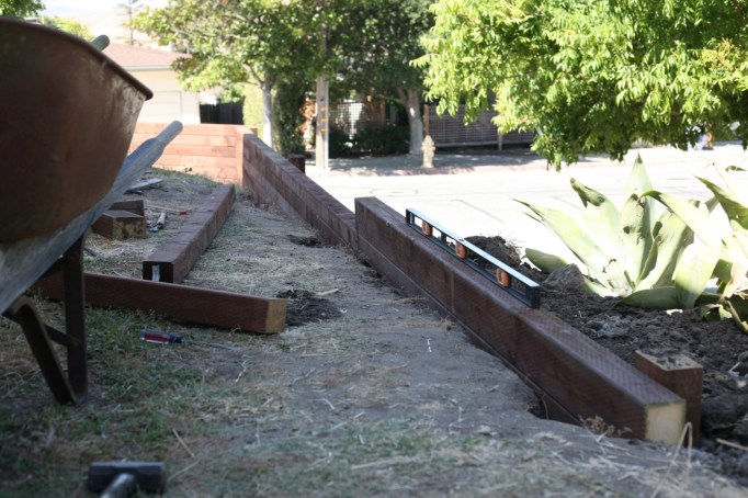 Border Wall – SUBURBAN POP