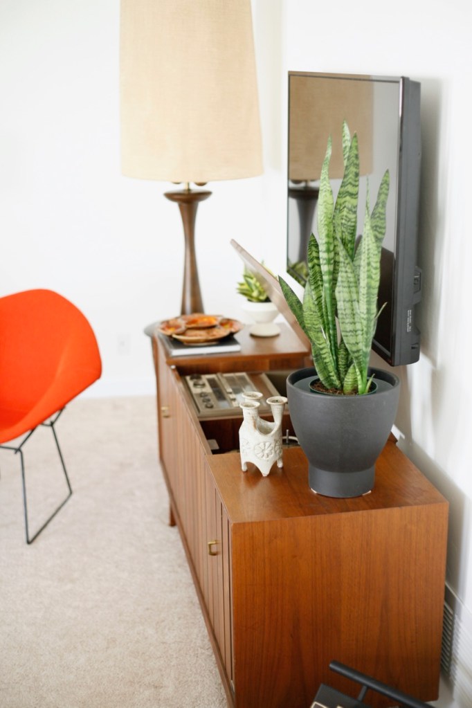 Couch Problems – SUBURBAN POP