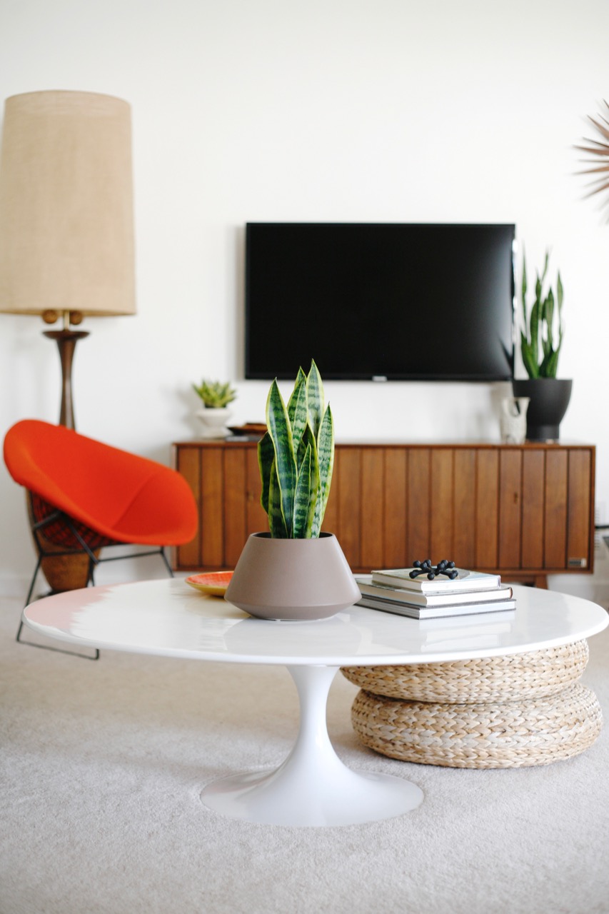 Couch Problems – SUBURBAN POP