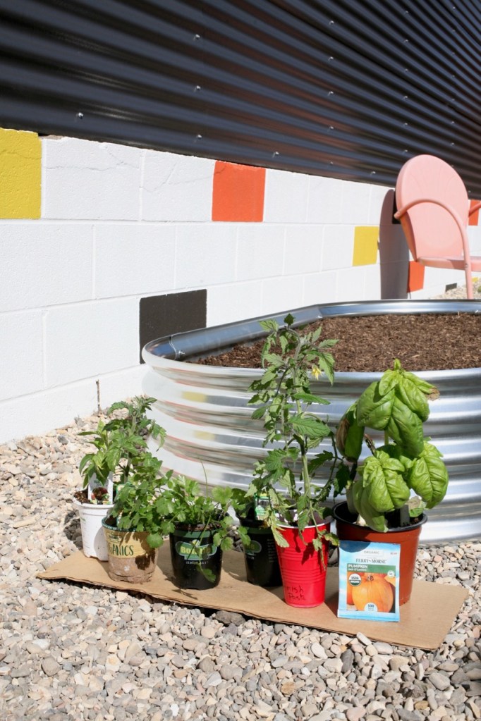 Modern Container Garden – SUBURBAN POP