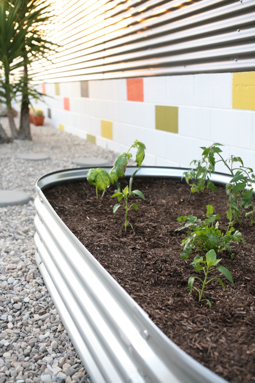 Modern Container Garden – SUBURBAN POP