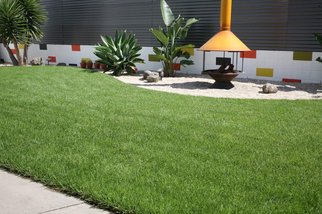 Fresh Grass – SUBURBAN POP